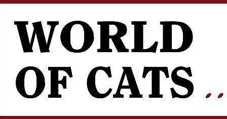 7. World of Cats - die Weltausstellung - World of cats